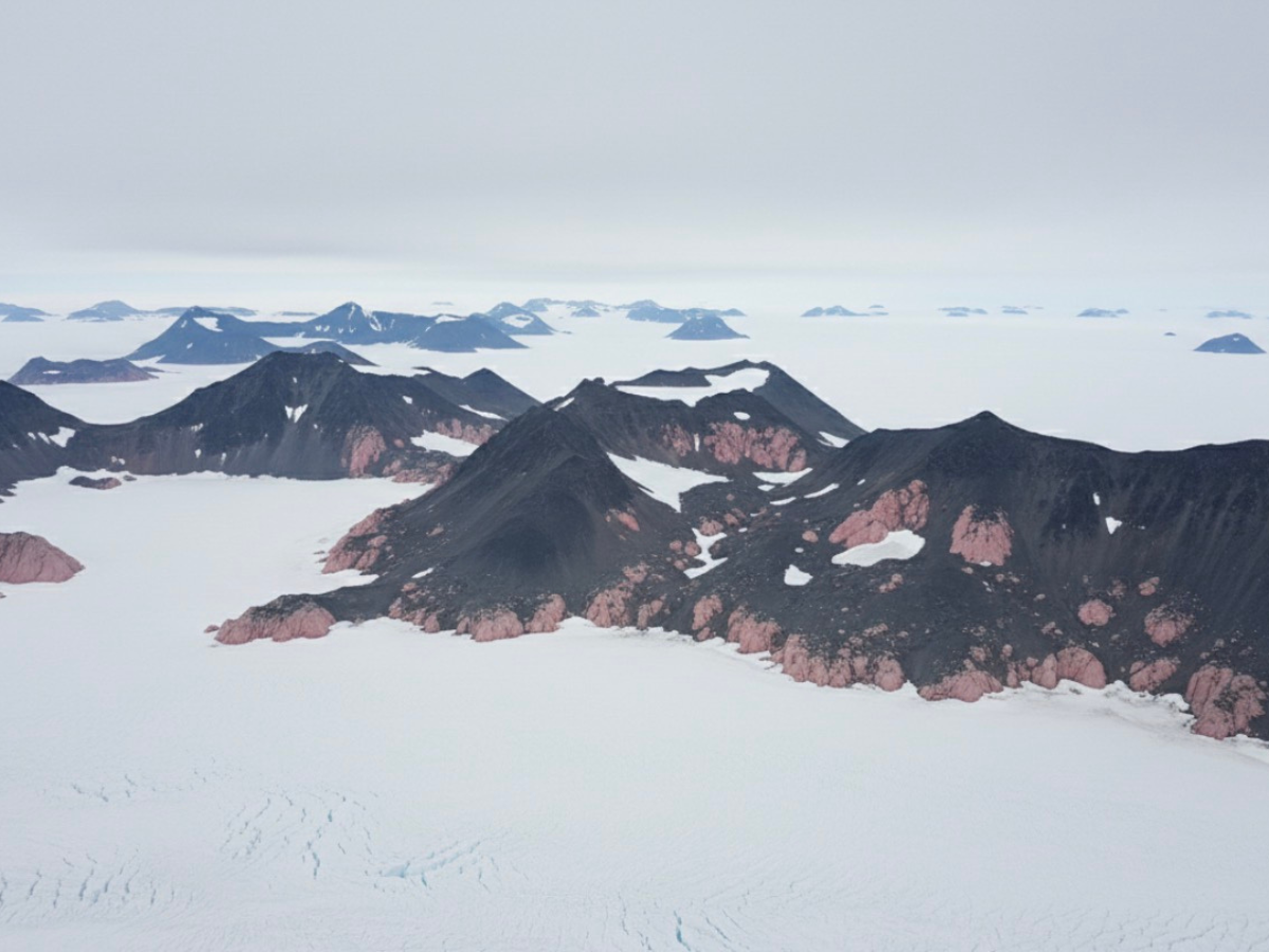 These strange pink rocks in Antarctica just revealed a massive hidden ...