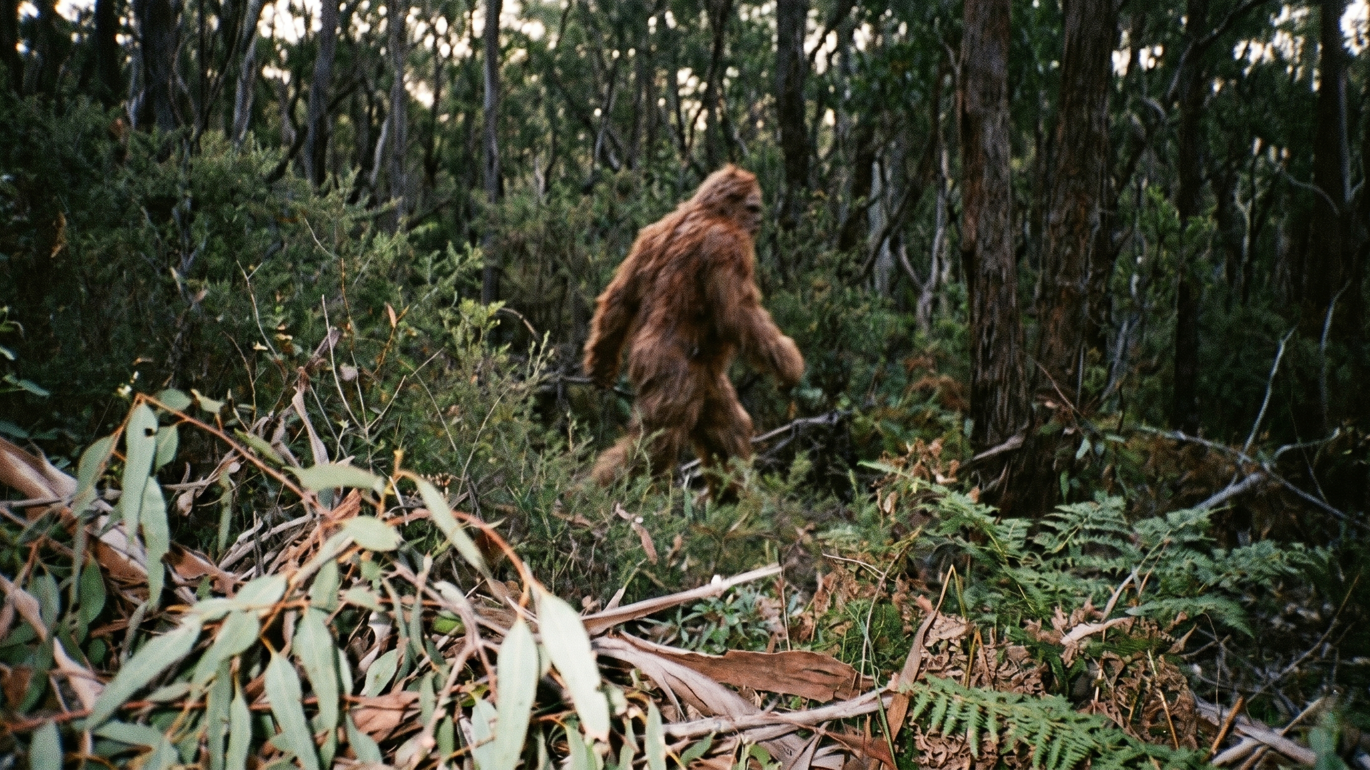 7-foot yowie sightings terrified Australian campers for decades