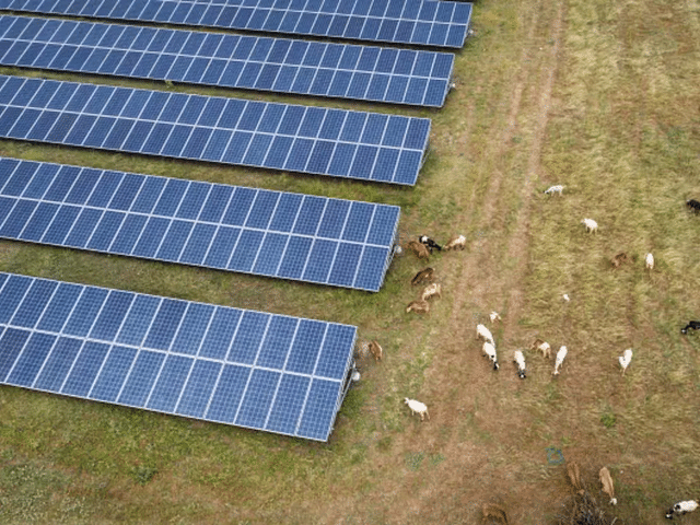 Planning to install solar panels? Know the major benefits and hidden ...