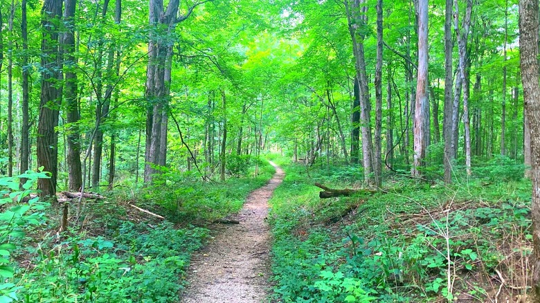 Between Indianapolis and Fishers is Indiana's lush state park with ...