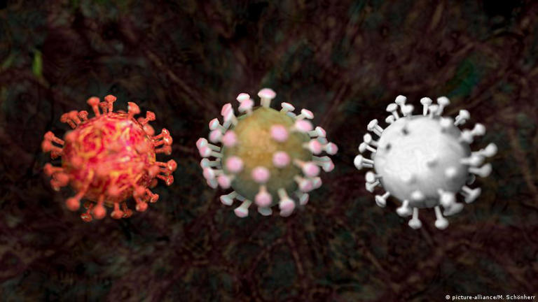 Endemic, epidemic, pandemic: What's the difference?
