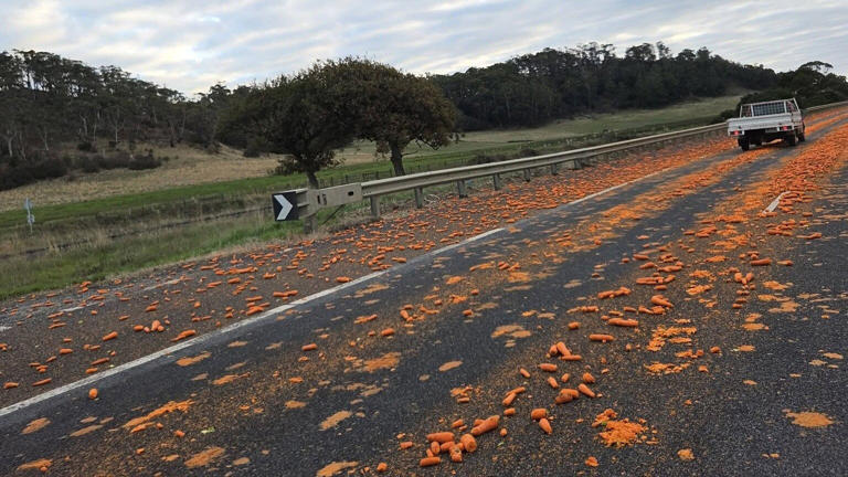 'Carrot hazard' slows traffic on Tasmanian highway as police seek driver