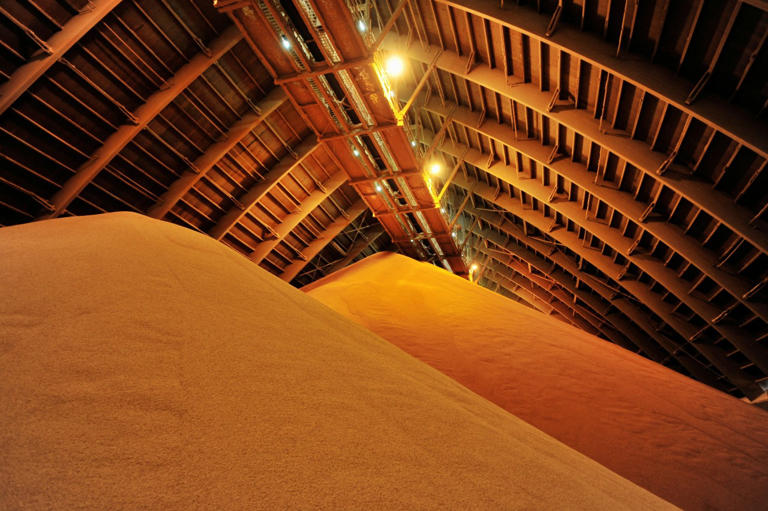 Mosaic pulls guidance, cuts spending as fertilizer costs surge