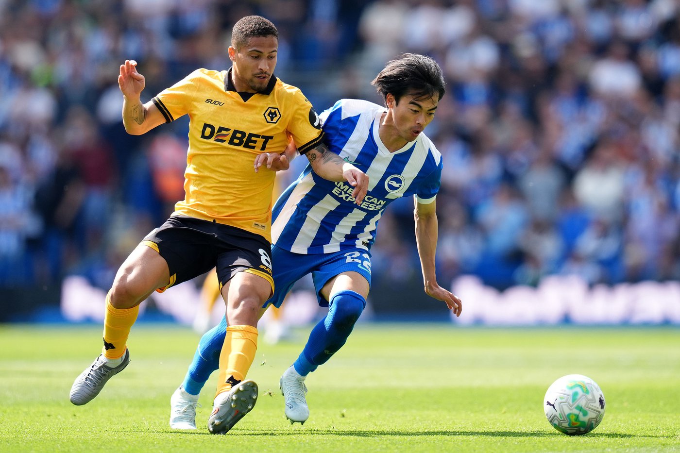 Japan waits on star forward Mitoma's fitness for World Cup after injury ...