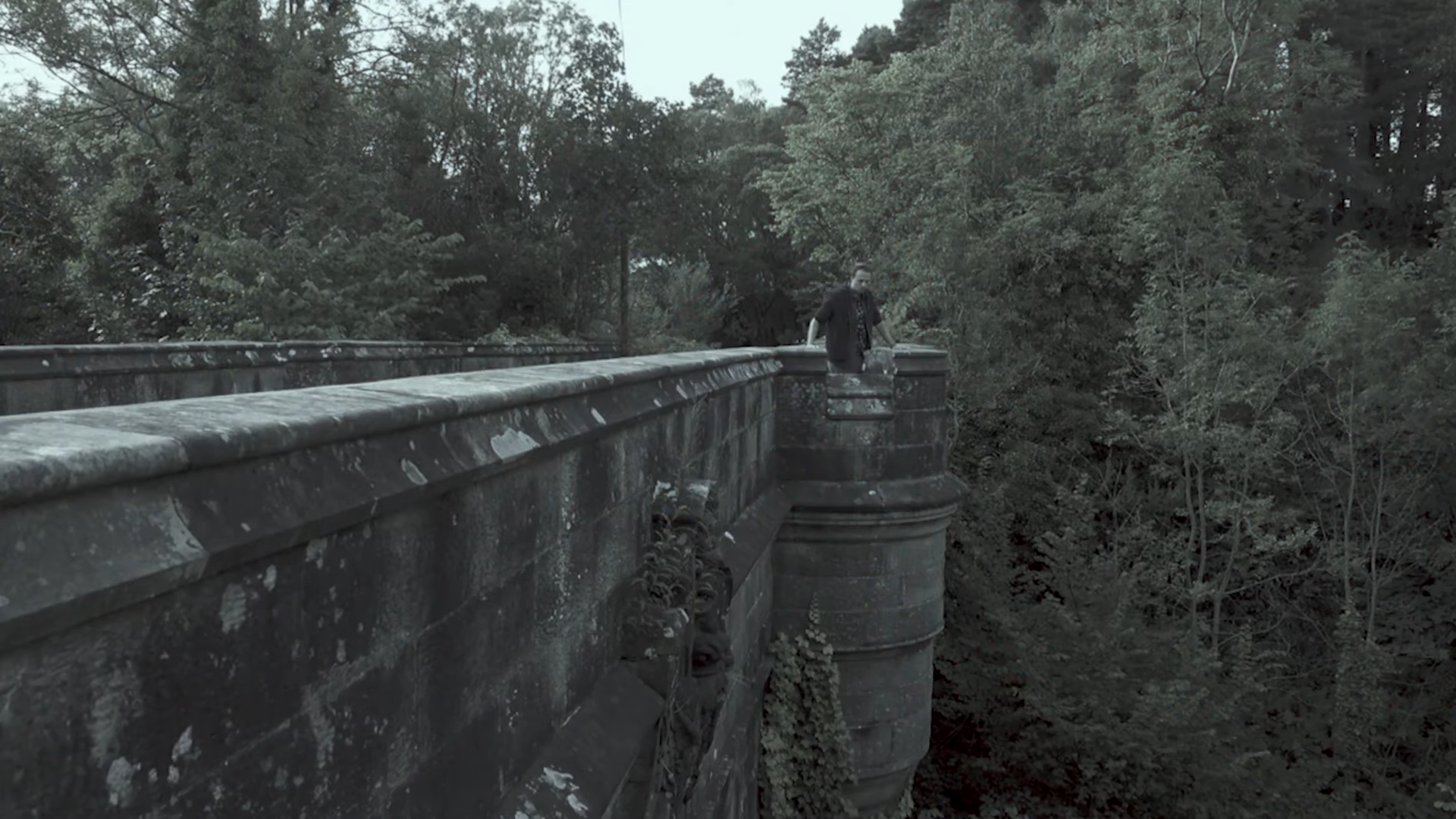 More than 600 dogs jumped from Scotland’s suicide bridge