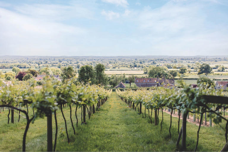 The UK's most exciting new experiences to try this summer