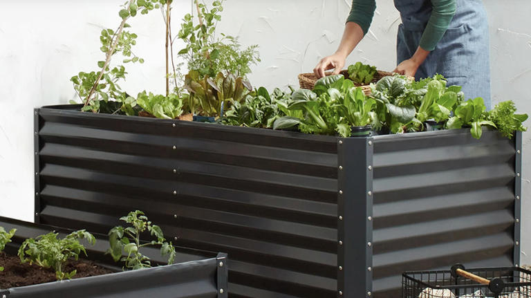 Home Depot's May 2026: 10 new home & garden items to look for
