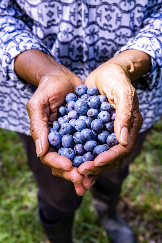 This Tuskegee 'Blueberry Lady' turned a forgotten farm into a community ...