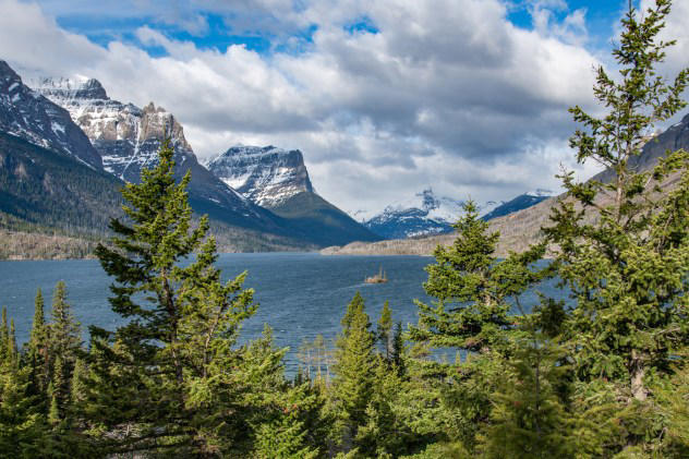 1st fatal bear attack since 1998 reported in Glacier National Park