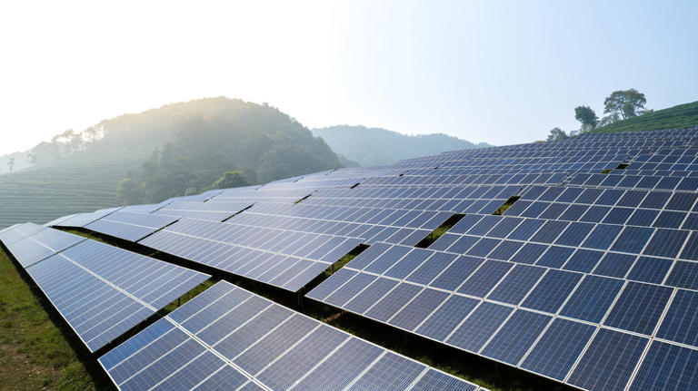 Birds can't tell the difference between solar farms and lakes – and it ...