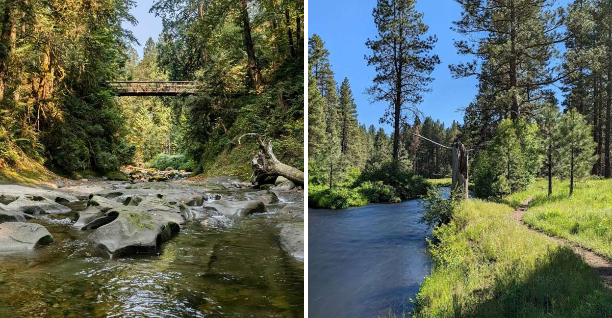 This 5.4-mile Oregon trail crosses a natural bridge of solid rock