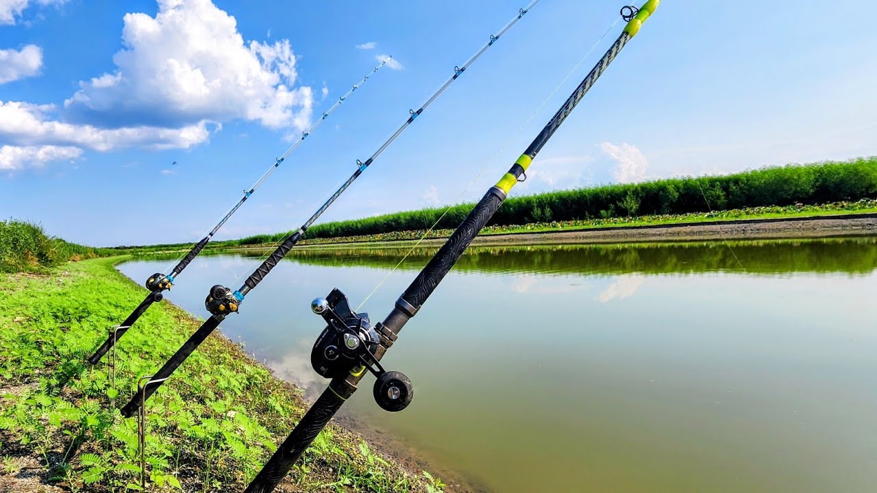 Exploring a shrinking pond with large fish populations