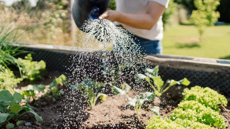 The mood-boosting garden activities we should all be doing