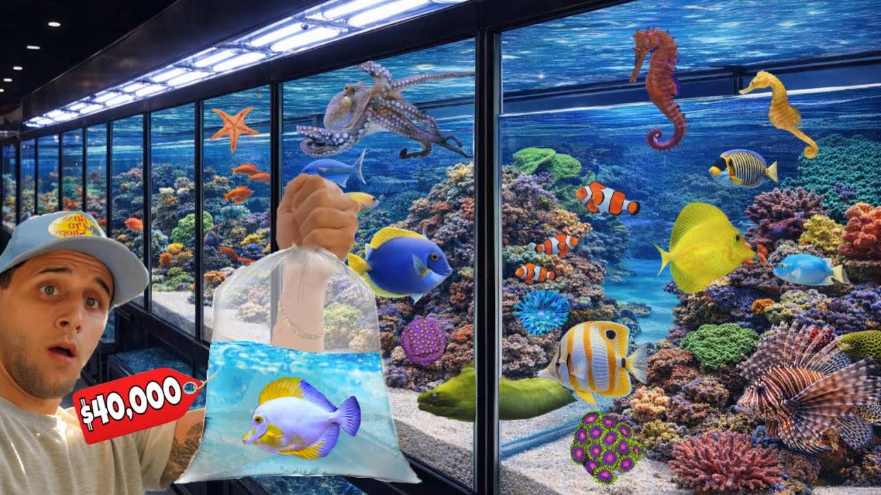 I met the world's rarest fish & corals!🐠