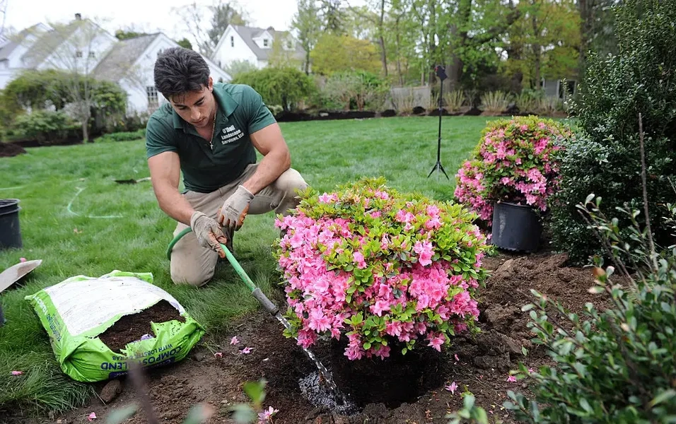 Turn your shady yard into a lush retreat