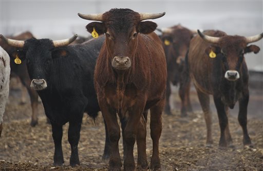 Report: Trump plans to cut beef tariffs