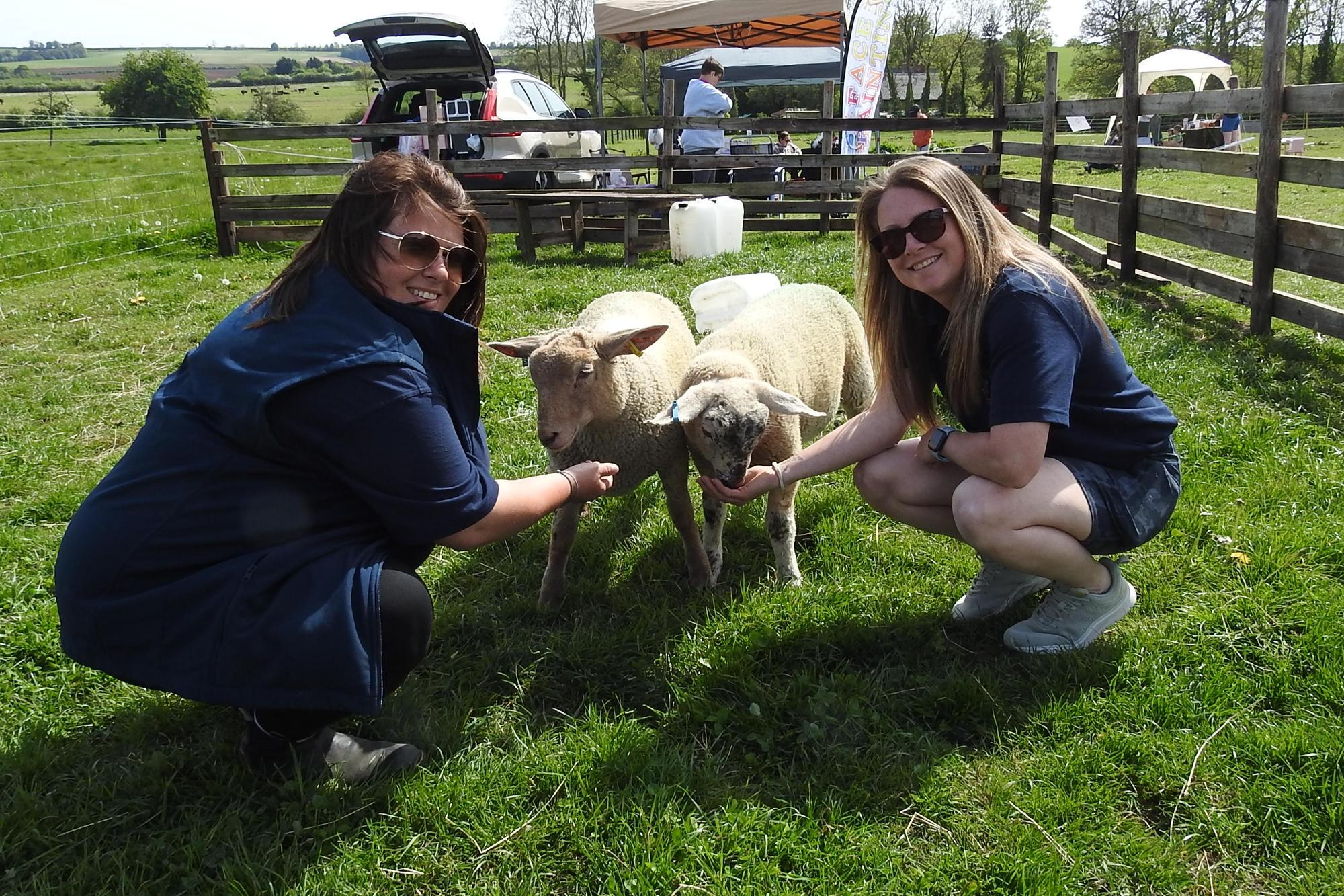 Visitors enjoy the creature comforts at farm school open day