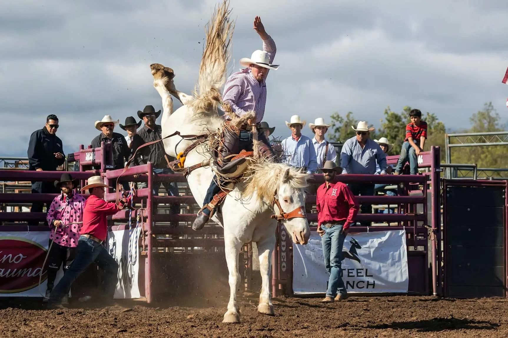 San Diego revives Old West spirit with Valley Center Western Days
