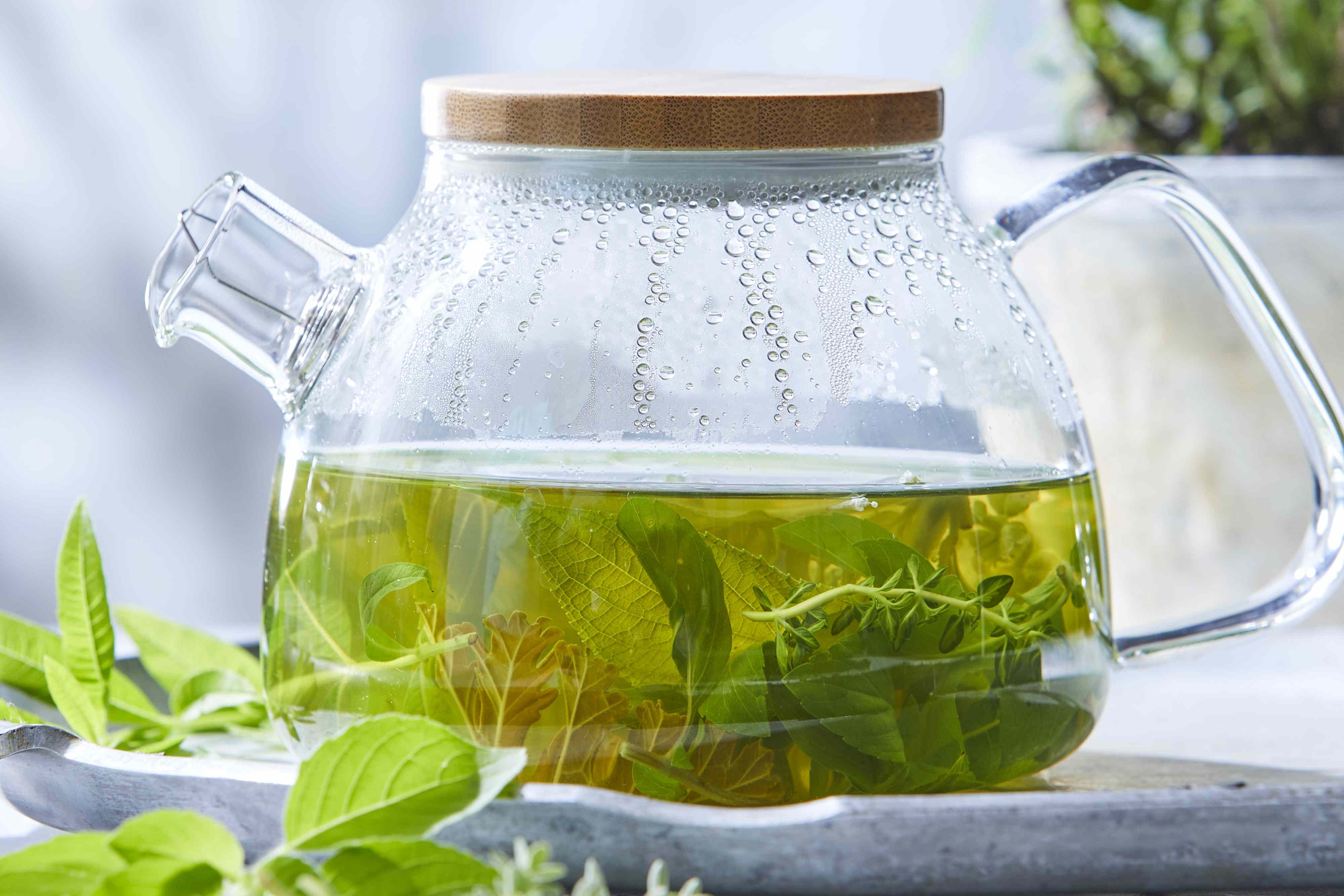 8 easy herbs to grow for flavorful homemade tea