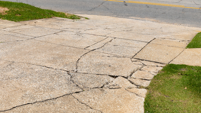 What ruins a concrete driveway? 5 common causes to be aware of