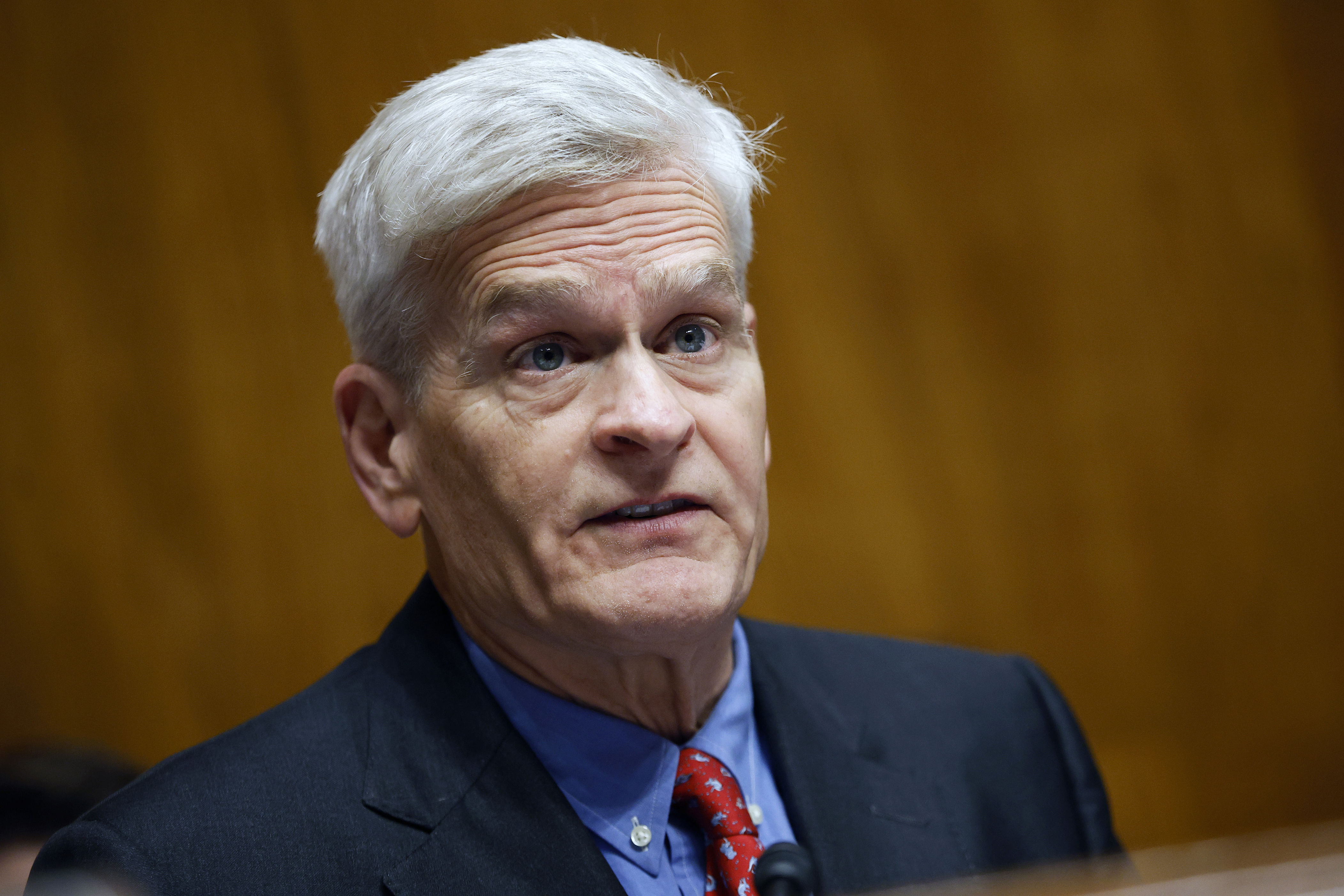 Republican Bill Cassidy's chances of losing to Trump-backed foe—polls