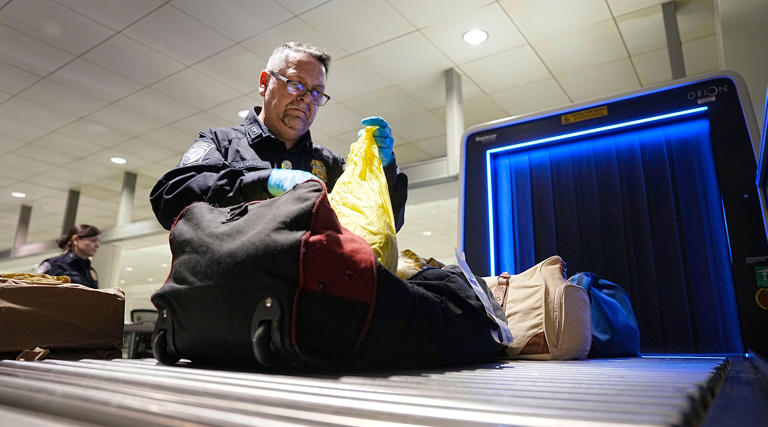 US Customs and Border Protection issues travel warning after ...