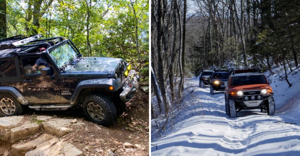 This rugged Virginia off-road peak offers breathtaking views and miles ...