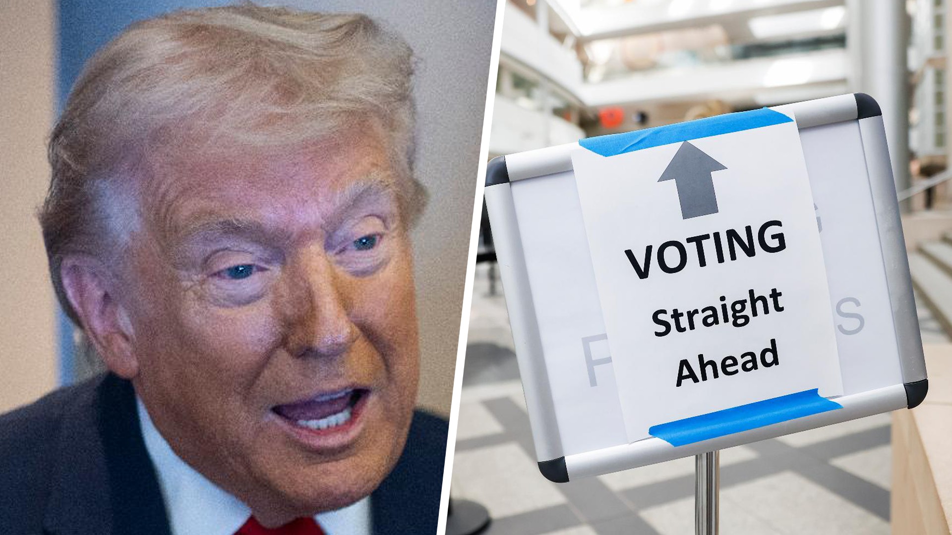 Trump vows to send 'election integrity army' to states for midterms