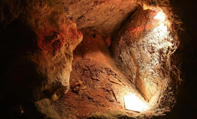 Hidden inside an Australian cave, scientists uncovered fossil fragments ...