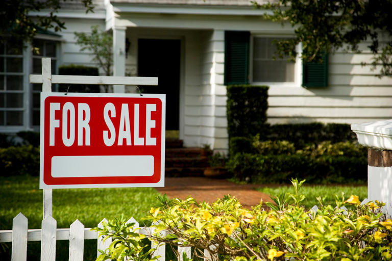 Real estate experts not overly concerned as local single-family home ...