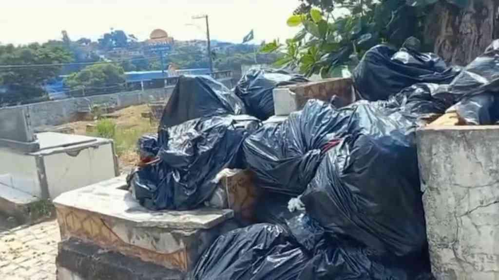 Cemitério onde Roberto Dinamite foi sepultado é investigado