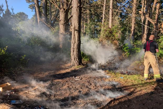 Disposable barbecue sparks forest blaze