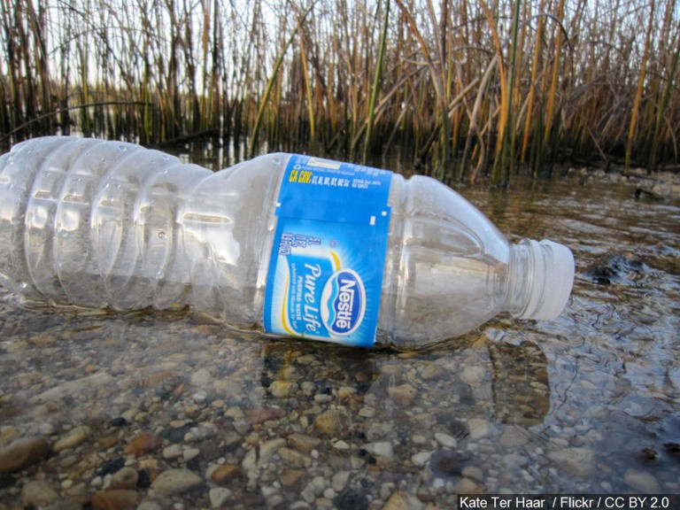 PA rep. looks to introduce automated litter enforcement systems