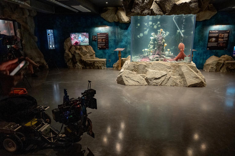 Where was the ‘Remarkably Bright Creatures’ movie filmed?
