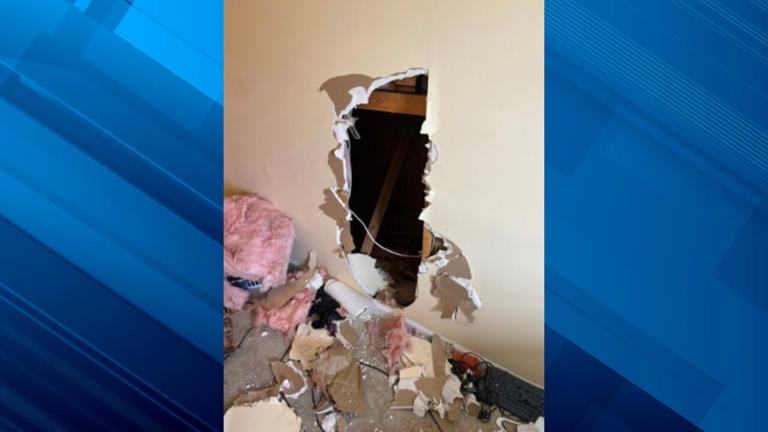 Wanted man found hiding under insulation inside Horry County home ...