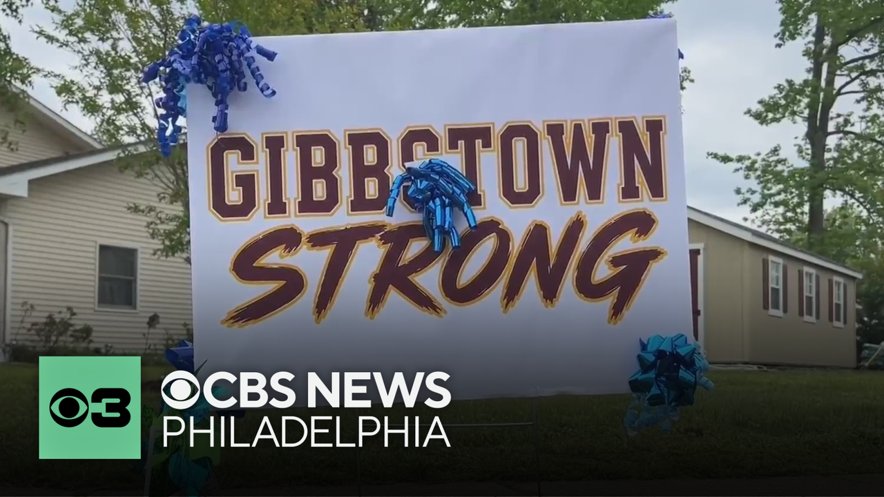 Grief counselors, therapy dogs supporting students after 7-year-old hit ...
