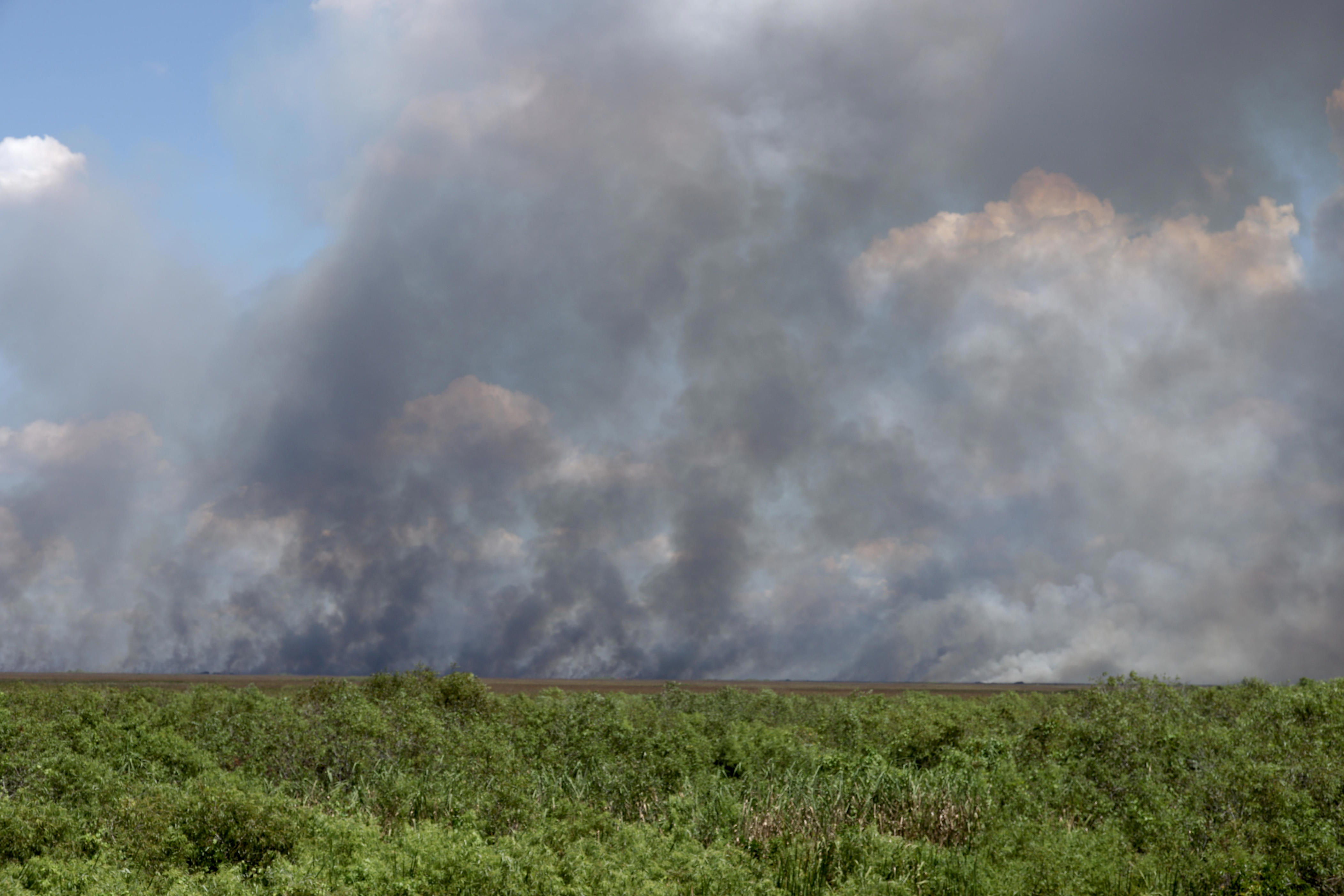 Wildfires burning across South Florida