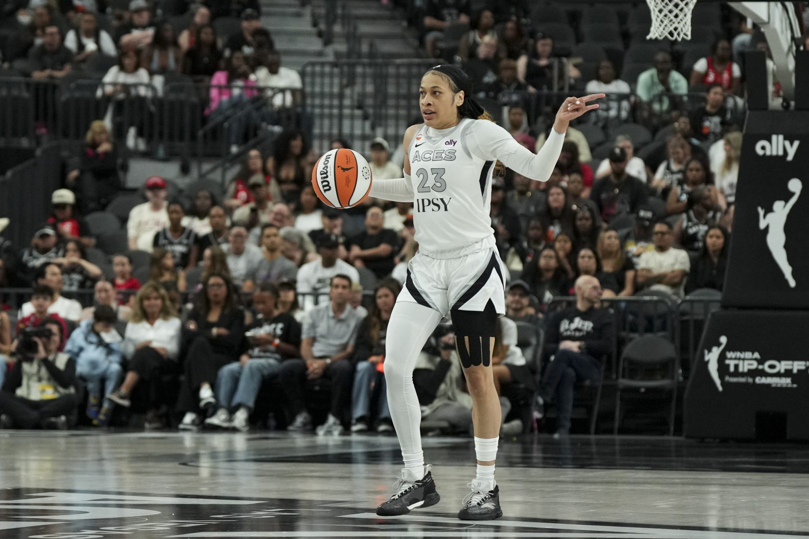 The Las Vegas Aces executed one of the most effective offseason moves