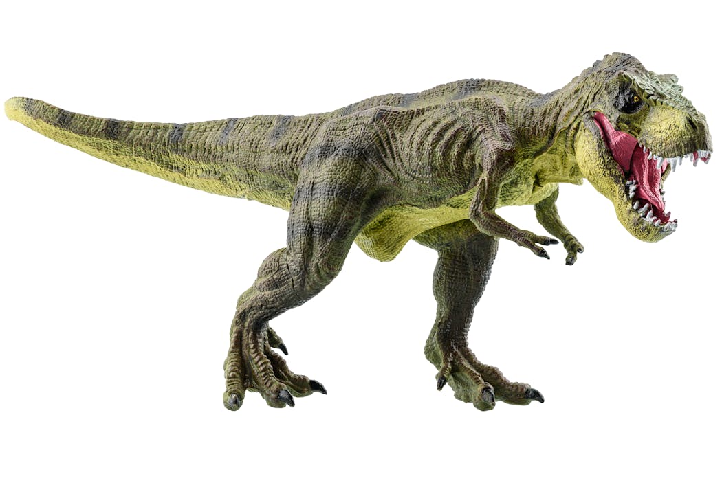 Why did 'Tyrannosaurus rex' have such short arms?