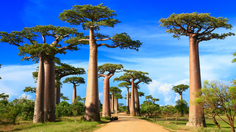 15 things you can see at only one spot in the world