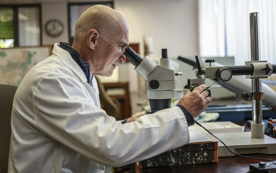 Inside the secret life of plant cells