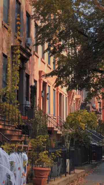 Dreaming of a day in Brooklyn
