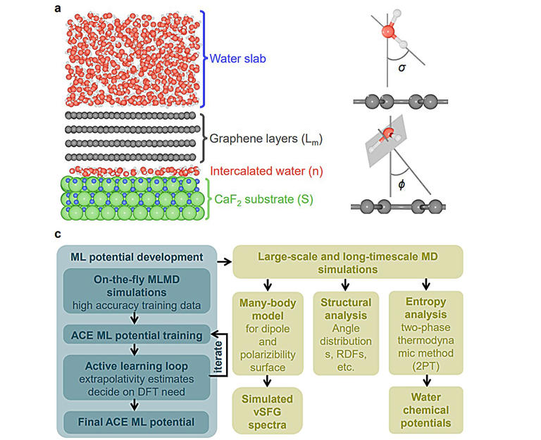 Machine learning proves that graphene is hydrophobic