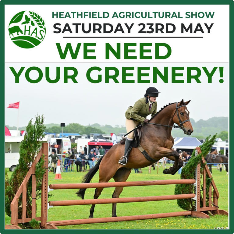 Heathfield Town news