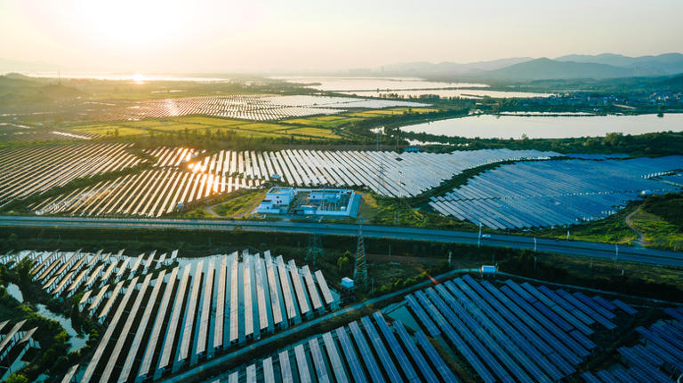 Birds can't tell the difference between solar farms and lakes – and it ...