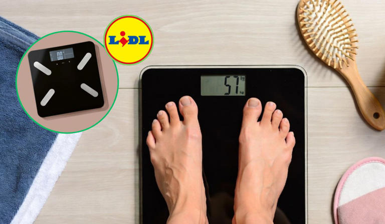 Llega a Lidl la báscula por menos de 10 euros que da el peso, el ...
