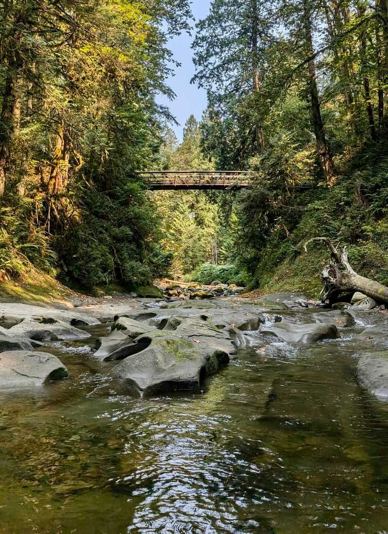 This 5.4-mile Oregon trail crosses a natural bridge of solid rock