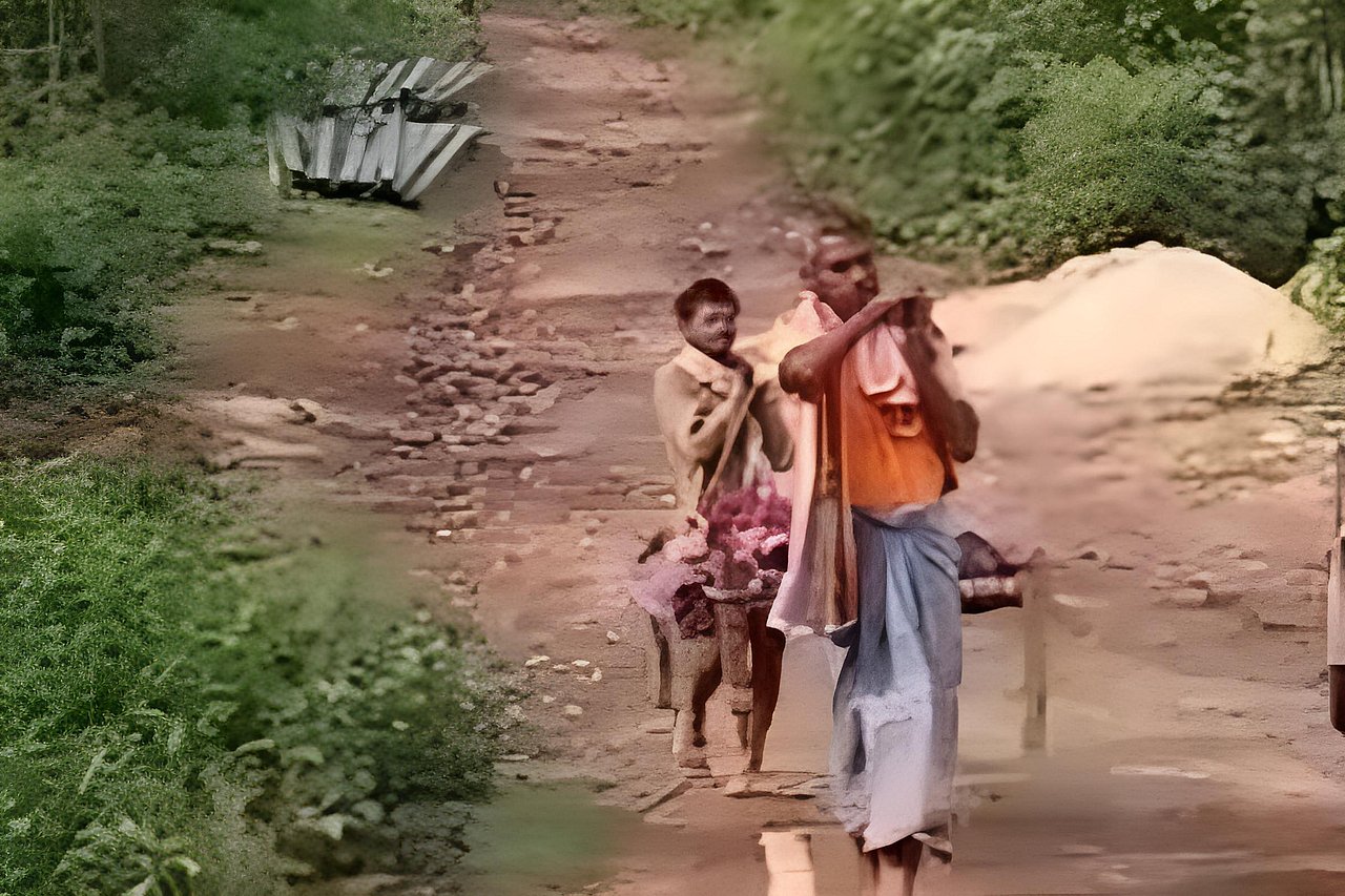 Lack of motorable road forces Jharkhand villagers to carry sick woman ...