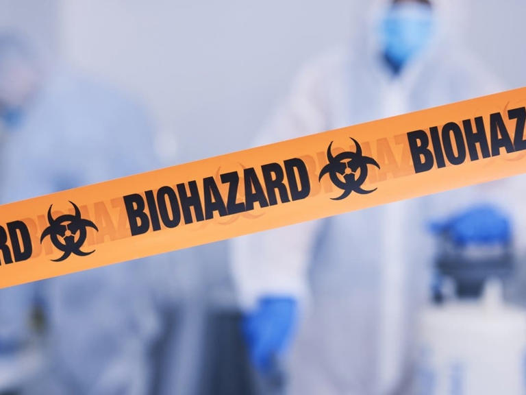 Deadly virus follows Santa Clara traveler home from cruise ship ...