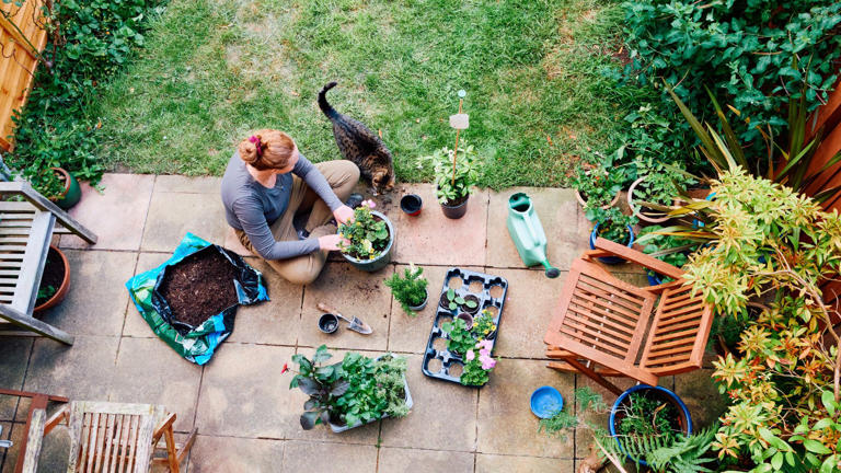 The mood-boosting garden activities we should all be doing